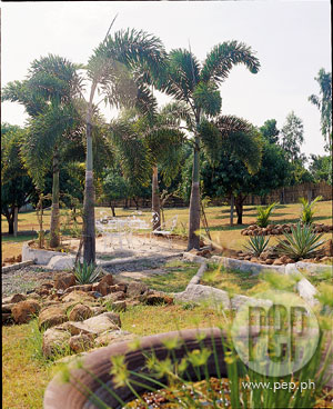 Isabel Rivas's Paradise | PEP.ph